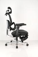 China Ergonomic Office Chair with Aluminum Alloy Back Support Height Adjustable and Lumbar Support for sale