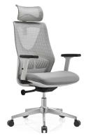 China Long Hours Training Chair 5-Year Warranty Comfortable Office Home Study Seat for sale
