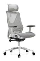 China Long Hours Training Chair 5-Year Warranty Comfortable Office Home Study Seat for sale