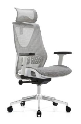 China Long Hours Training Chair 5-Year Warranty Comfortable Office Home Study Seat for sale