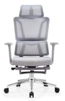 China Ergonomic Mesh Chair with Headrest and 5 Years Warranty Foldable Ergonomic Computer Chair for Office and Home for sale