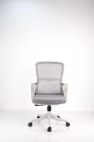 China Manager Staff Chair Low Back Mesh Office Chair Ergonomic Revolving Comfortable for sale