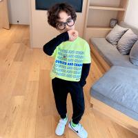 China Leisure Fake Two Piece Boys T Shirt Multi Color for sale