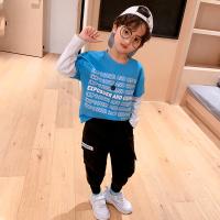 China Leisure Fake Two Piece Boys T Shirt Multi Color for sale