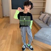 China Children's suit Multicolor spring and autumn children's printed two-piece set for boys, suitable for children aged 4-16 for sale