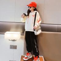 China Autumn Winter Sports Letter Hoodie Two Piece Set for sale