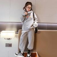 China Thick Sports Gray Embroidered Hoodie Two Piece Set Trend Cartoon Pattern for sale