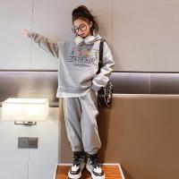 China Thick Sports Gray Embroidered Hoodie Two Piece Set Trend Cartoon Pattern for sale