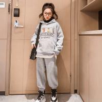 China Thick Sports Gray Embroidered Hoodie Two Piece Set Trend Cartoon Pattern for sale