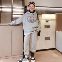 China Childrens Gray Hoodie And Sweatpants Set Breathable Korean Edition for sale