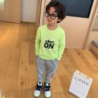 China Pure Cotton Spring Teen Boys Clothes Long Sleeved T Shirt Foreign Style for sale