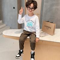 China Pure Cotton Spring Teen Boys Clothes Long Sleeved T Shirt Foreign Style for sale