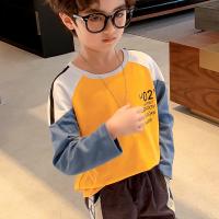 China Tide Splicing Teen Boys Clothes Long Sleeved Color Block Raglan Sleeve Pullover for sale