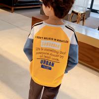 China Tide Splicing Teen Boys Clothes Long Sleeved Color Block Raglan Sleeve Pullover for sale