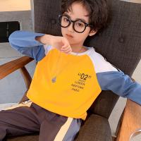 China Tide Splicing Teen Boys Clothes Long Sleeved Color Block Raglan Sleeve Pullover for sale