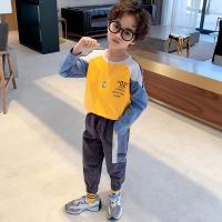 China Tide Splicing Teen Boys Clothes Long Sleeved Color Block Raglan Sleeve Pullover for sale