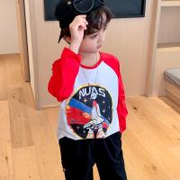 China Skin Friendly Teen Boys Clothes Raglan Sleeve Sweatshirt Size 110-160 for sale