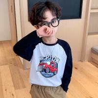 China Handsome Pure Cotton Teen Boys Clothes Long Sleeved Crewneck Raglan Sweatshirt for sale