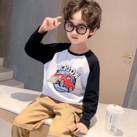 China Handsome Pure Cotton Teen Boys Clothes Long Sleeved Crewneck Raglan Sweatshirt for sale