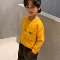 China Spring Autumn Aged 4-13 Boys Long Sleeves Sweatshirts Round Collar Handsome for sale
