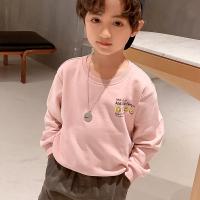 China Big Boy Childrens Spring Clothes Terry Crewneck Sweatshirt for sale
