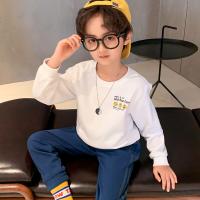 China Big Boy Childrens Spring Clothes Terry Crewneck Sweatshirt for sale