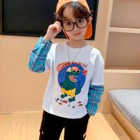 China Breathable 100% Cotton Teen Boys Clothes Boys Fake Two Piece T Shirt for sale