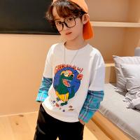 China Breathable 100% Cotton Teen Boys Clothes Boys Fake Two Piece T Shirt for sale