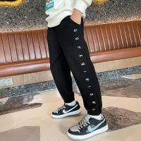 China Spring And Autumn Boys' Sweatpants Children Handsome Loose Slacks Embroidered for sale