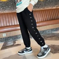China Spring And Autumn Boys' Sweatpants Children Handsome Loose Slacks Embroidered for sale