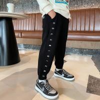 China Spring And Autumn Boys' Sweatpants Children Handsome Loose Slacks Embroidered for sale