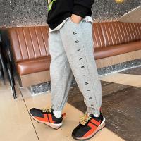 China Spring And Autumn Boys' Sweatpants Children Handsome Loose Slacks Embroidered for sale