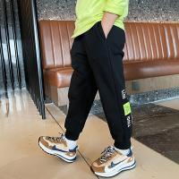 China Class B Handsome Boys' Loose Slacks for Spring And Autumn for sale