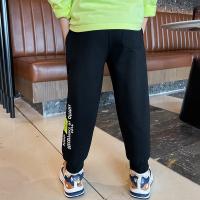 China Class B Handsome Boys' Loose Slacks for Spring And Autumn for sale