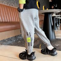China Class B Handsome Boys' Loose Slacks for Spring And Autumn for sale