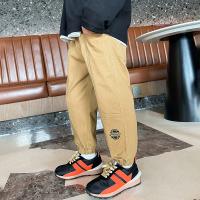 China Boys' Buntoe Embroidered Sweatpants Handsome Loose Slacks For Spring Autumn for sale