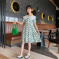 China Girls Big Clothing Princess Skirt green Broken Flower Children Skirt for sale