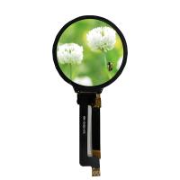 China 260 Luminance Circular LCD Screen 240x240 Round 1.28 Inch LCD Module For Smart Watch for sale