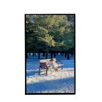 China 10.1 Inch TFT LCD Display All Viewing Angle Transmissive Connection Pin 40PIN Storage Temp -30°C -70°C for sale