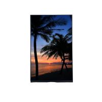China Portrait 10.1 inch FHD TFT LCD Module T-con Board with IPS Viewing Angle and Resolution 1200*RGB*1920 for sale