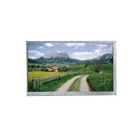 China 7.0 inch Landscape TFT LCD Module with 1024*600 Resolution 360nits 50pin RGB Interface For Car Display for sale