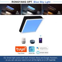 China 75W Flat Panel Night Light for Versatile Applications CCT 2100K-7500K for sale