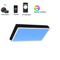 China Architectural LED Skylight Panel 1200x600mm with 6000-8000 Lumens for Museum Gallery Indoor Lighting for sale