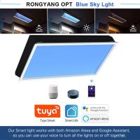 China Artificial LED Skylight 50W 3000K-6000K Commercial Outdoor Lighting Aluminum Alloy for sale
