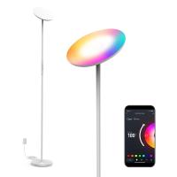 China 2000 Lumen Smart RGB Corner Floor Lamp with Alexa & Google Assistant Control, 2700K-5000K Color Temperature for sale