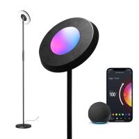China 24VDC Smart RGB Corner Floor Lamp with 1550L Brightness, Alexa & Google Home Voice Control for sale