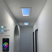 China Smart Tuya Circadian LED Skylight with Adjustable CCT for sale