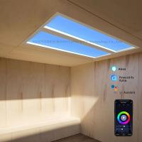 China 110VAC LED Artificial Skylight Panel 1200x600mm 8000lm 6500K CCT with Smart Dimming Control for sale