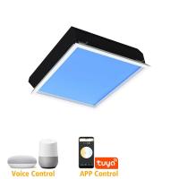China 600x600mm LED Artificial Skylight Panel with Tuya WIFI Voice Control and 110V Operation for sale