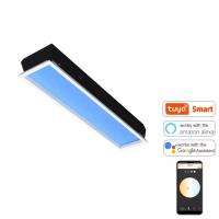 China RYOPT1230 120x30cm Surface Mount LED Skylight Panel 110V CCT Blue Sky Color with Smart Control for sale